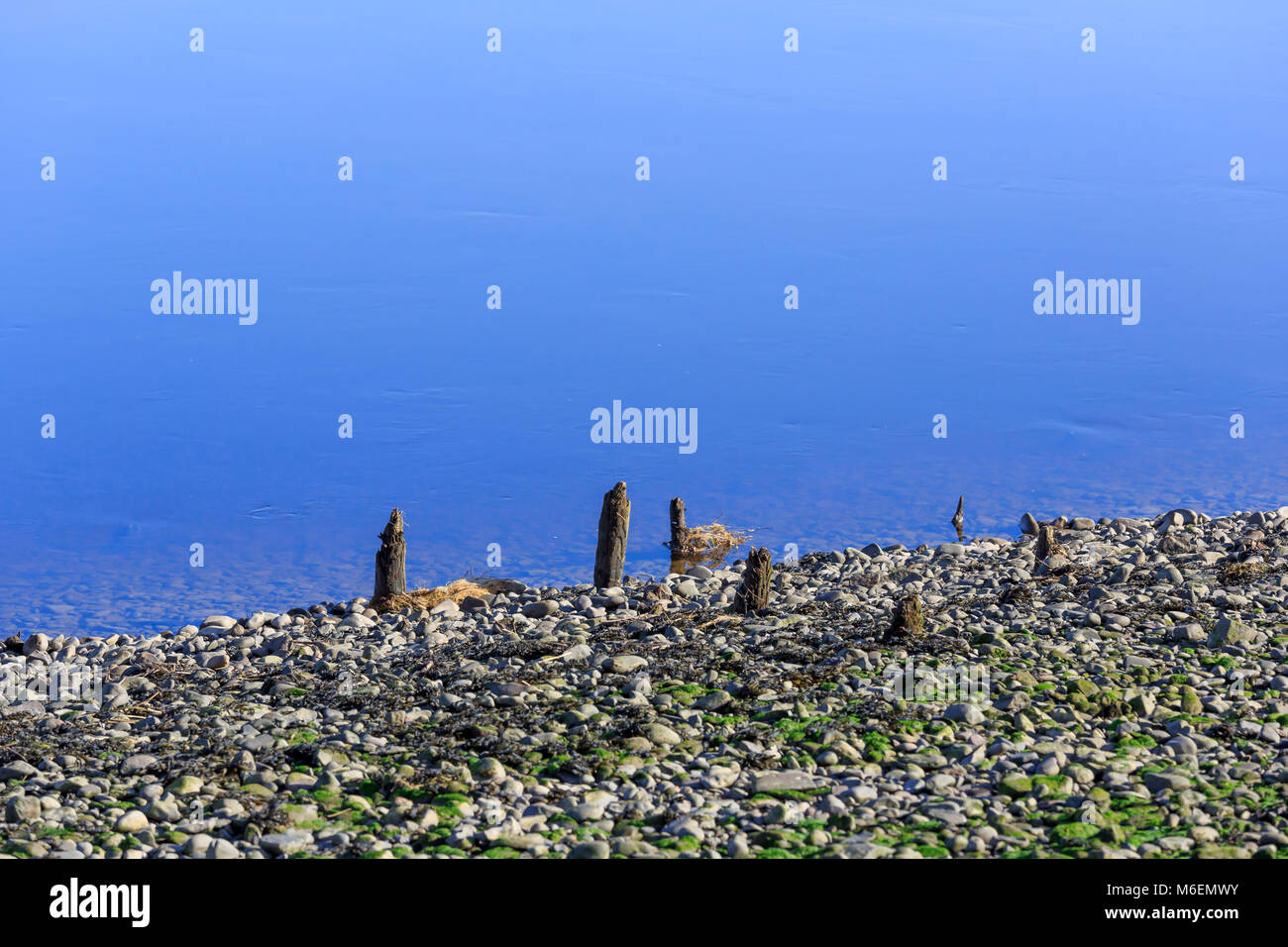 Old fence posts hi-res stock photography and images - Alamy