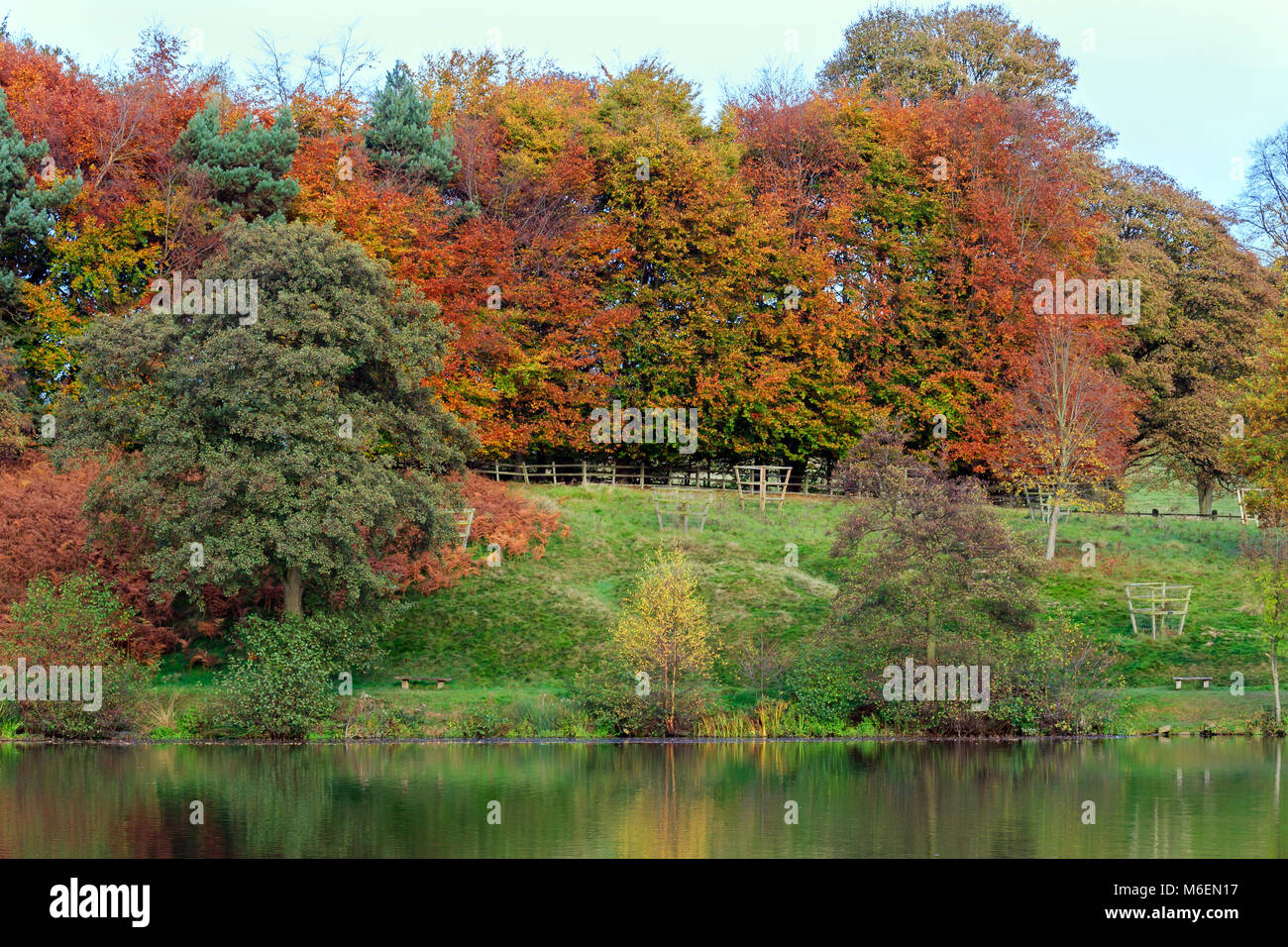Uk autumn trees landscape stunning hi-res stock photography and images ...
