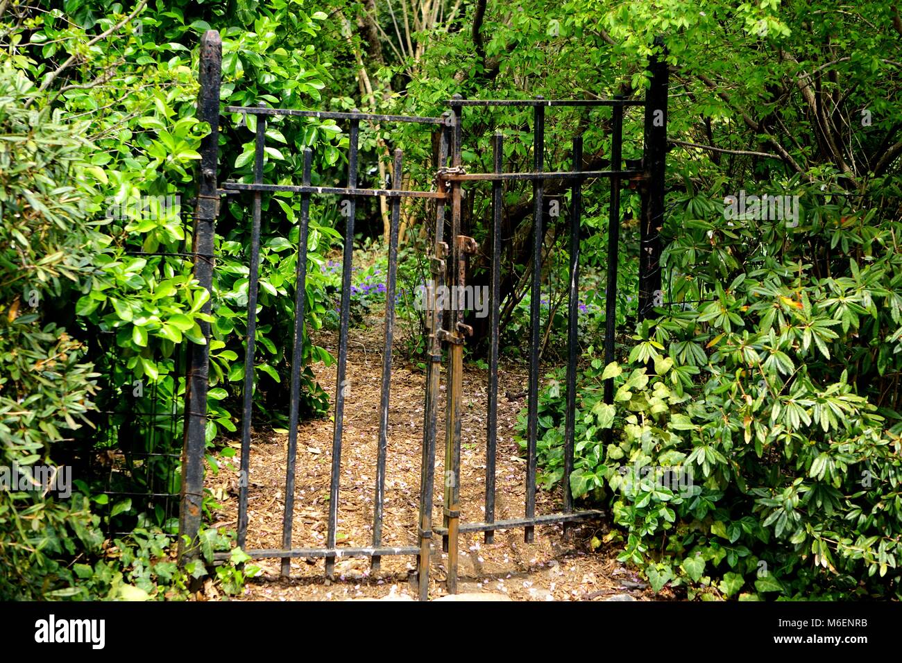 Garden paths and gates hi-res stock photography and images - Alamy