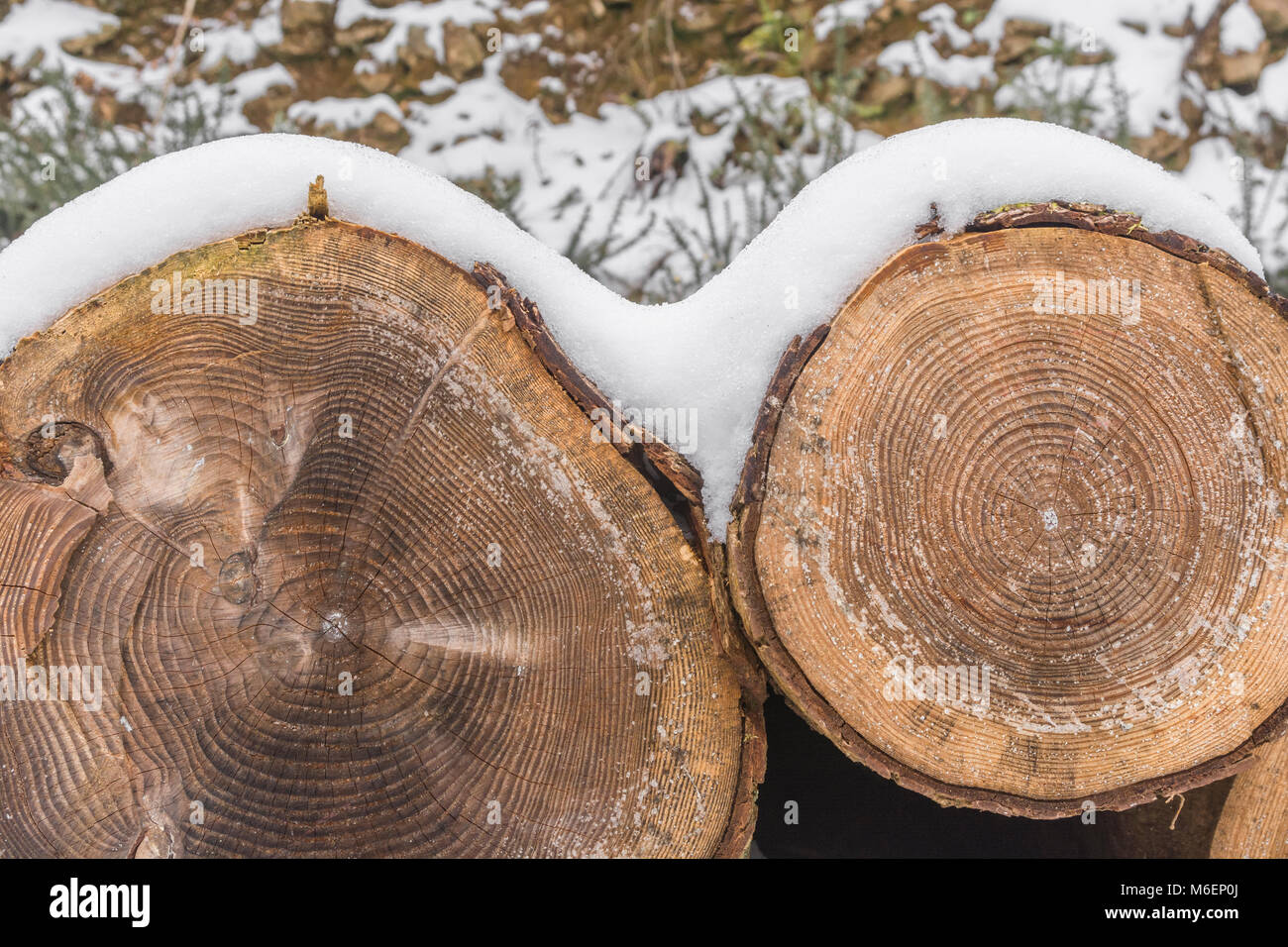 Logs covered snow cold temperature hi-res stock photography and images ...