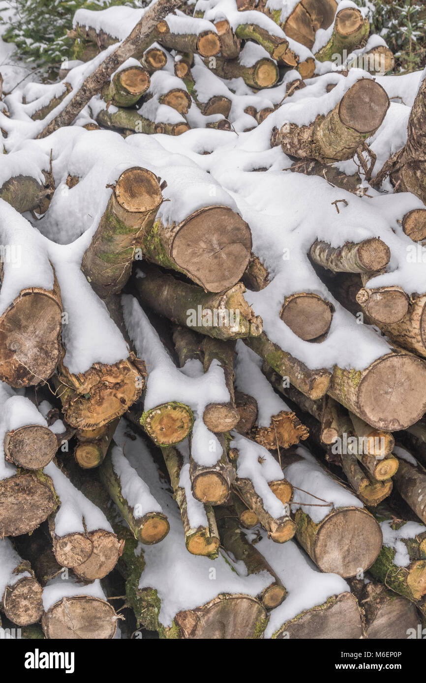 Logs covered snow cold temperature hi-res stock photography and images ...