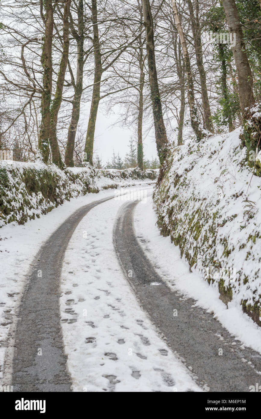 Bendy cornwall lane hi-res stock photography and images - Alamy