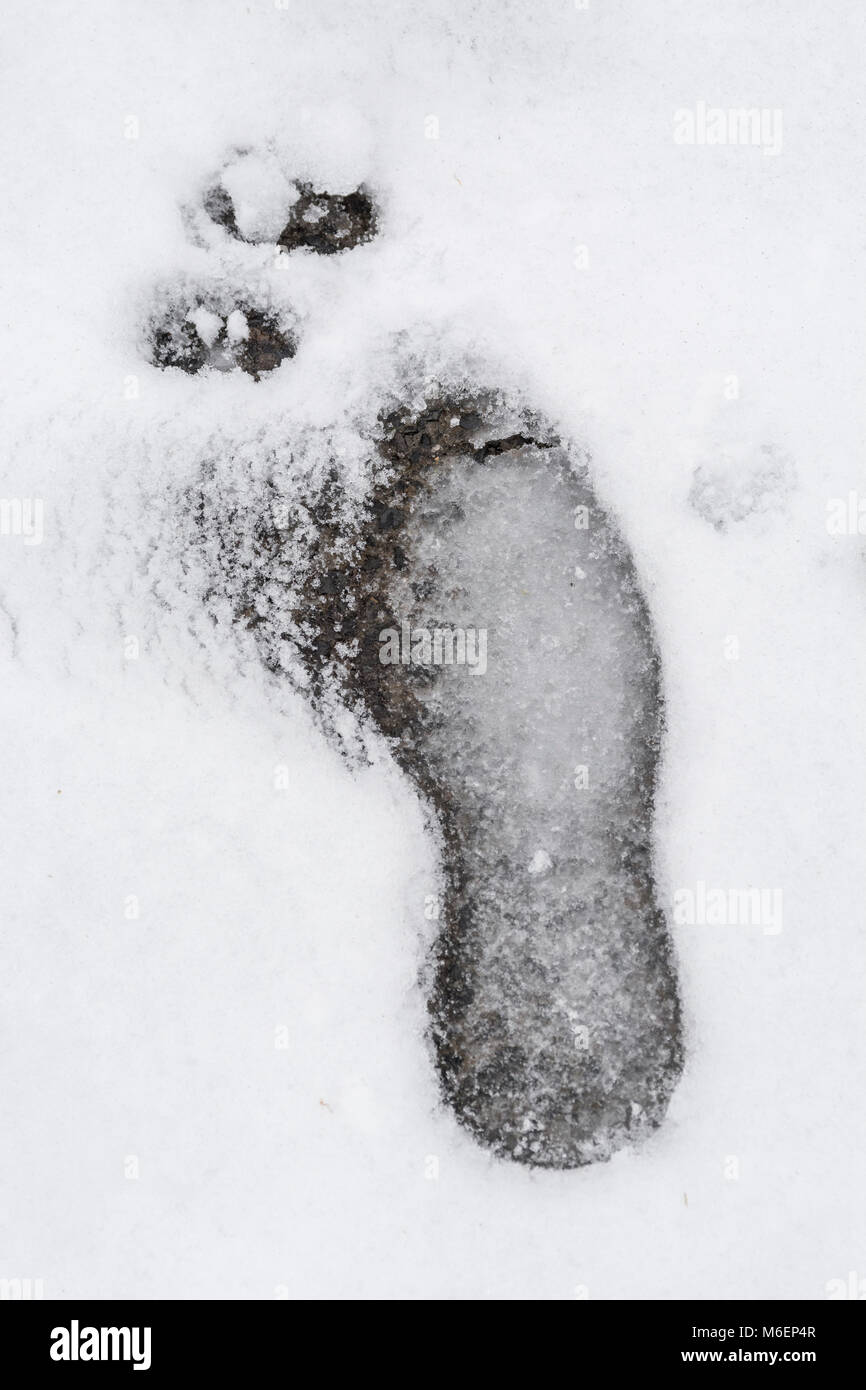 Snowy footprint on road during the 2018 Beast from the East polar ...