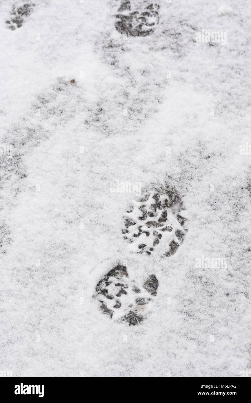 Snowy footprint on road during the 2018 Beast from the East polar ...