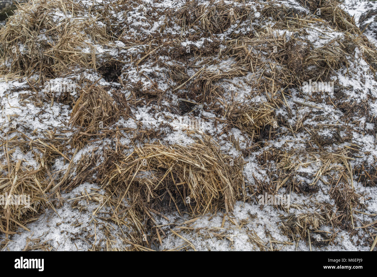 Farmyard manure hi-res stock photography and images - Alamy