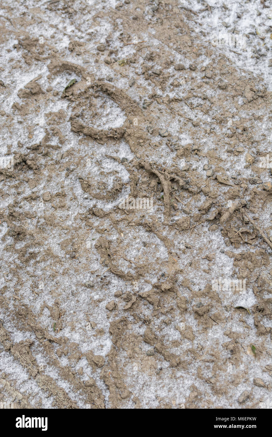 Horse hoof prints in mud hi-res stock photography and images - Alamy