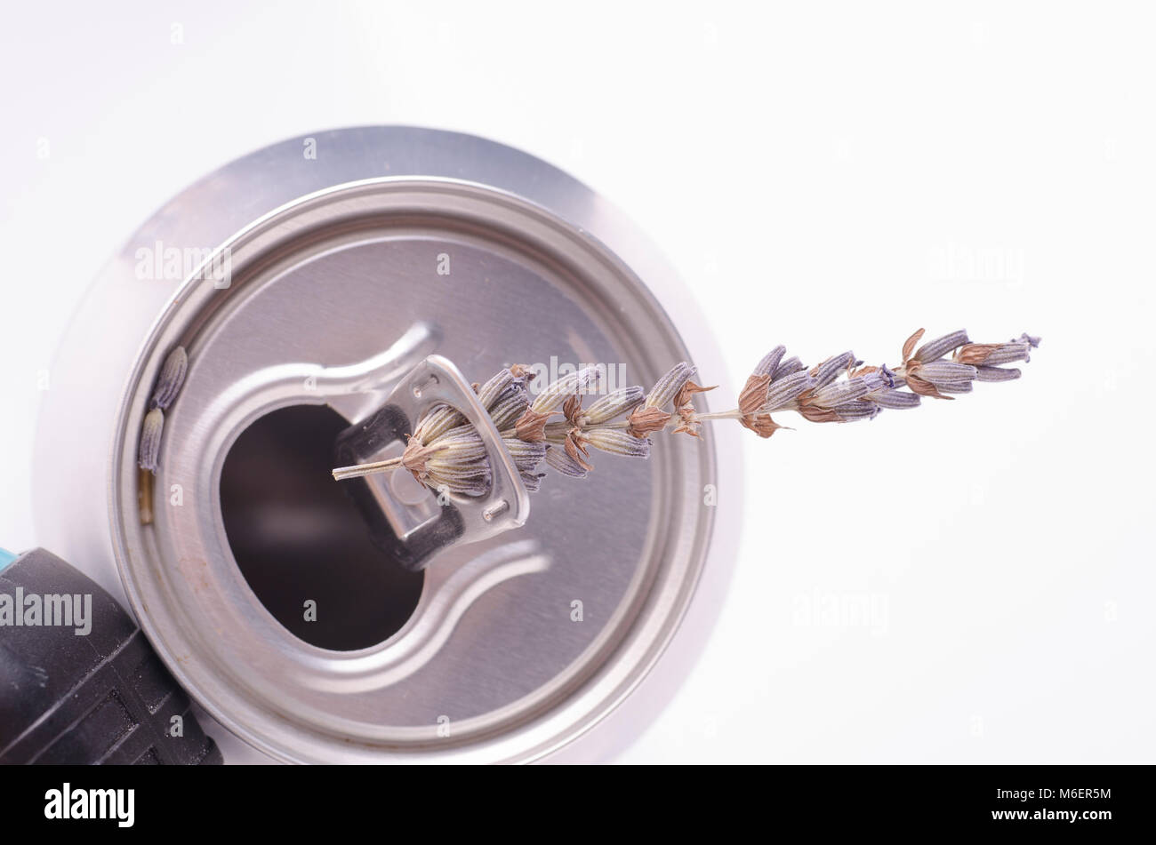 Random Still Life Setup