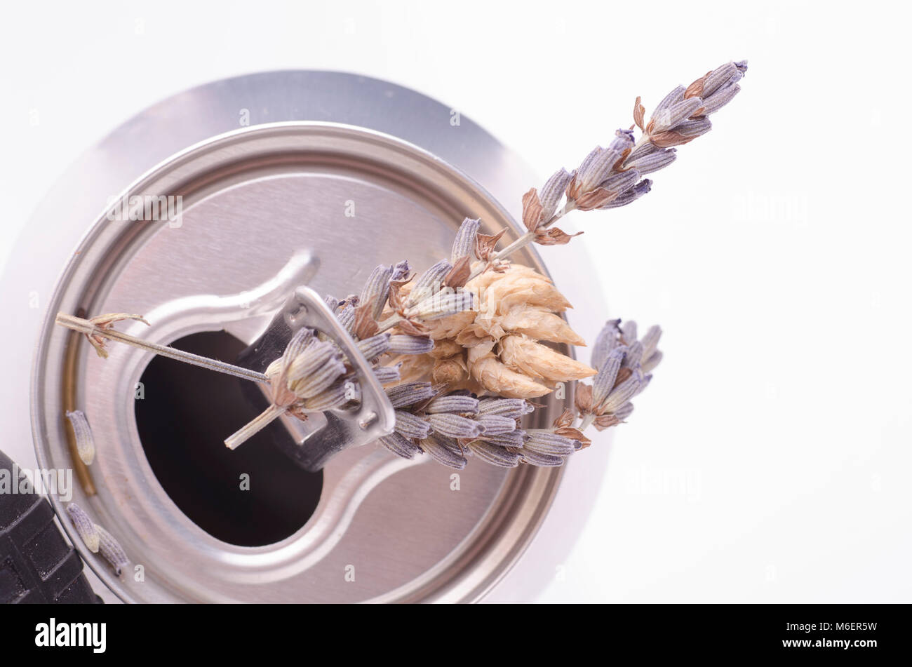 Random subject photographed in a still life studio setup using one ...