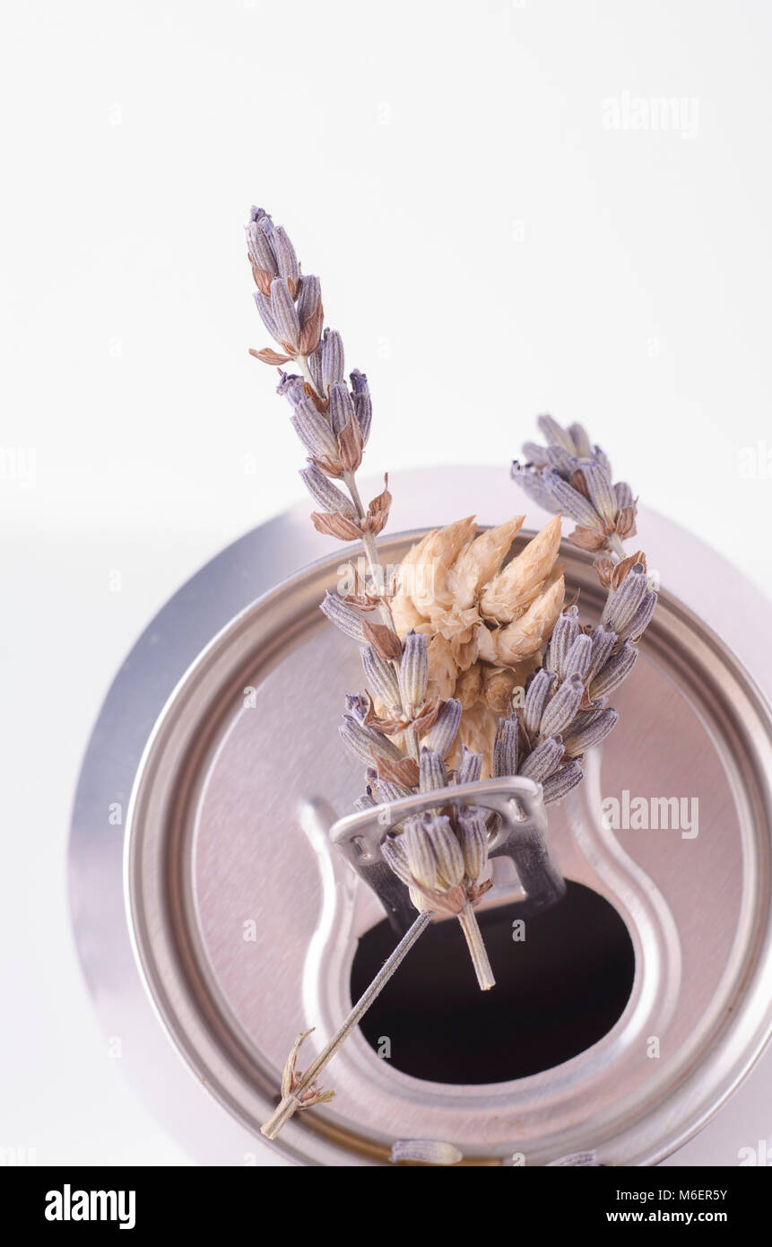 Random Still Life Setup