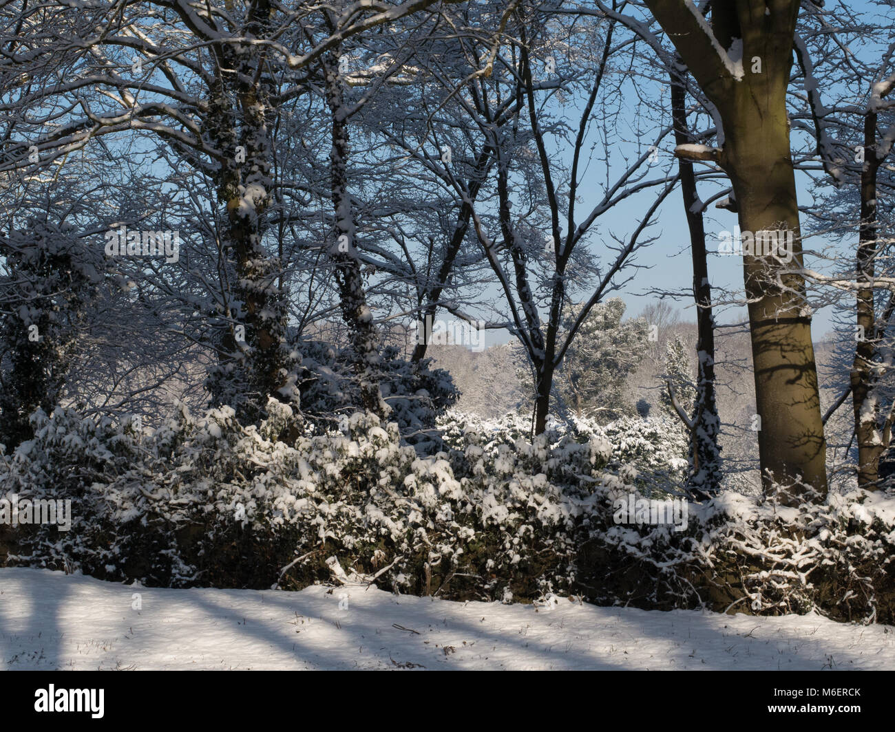 winter snow Addington Kent Stock Photo - Alamy