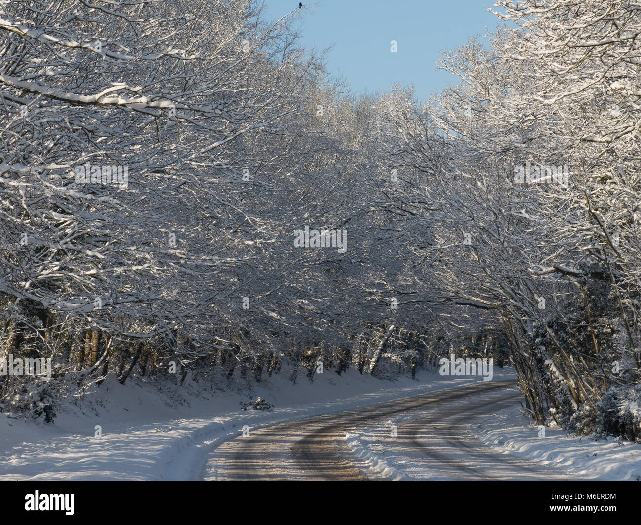 winter snow Addington Kent Stock Photo - Alamy