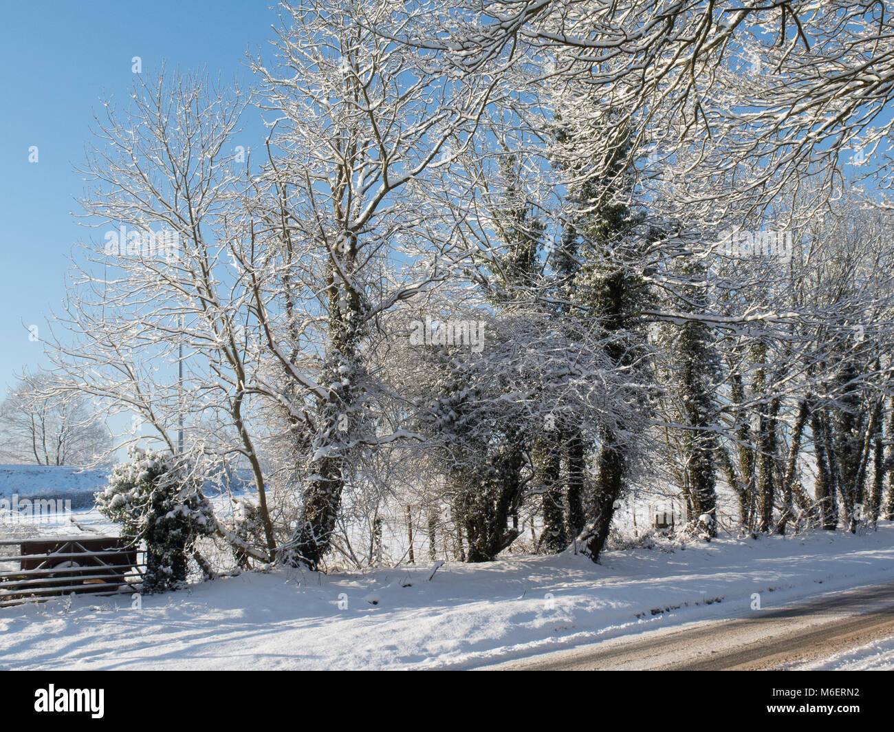 winter snow Addington Kent Stock Photo - Alamy