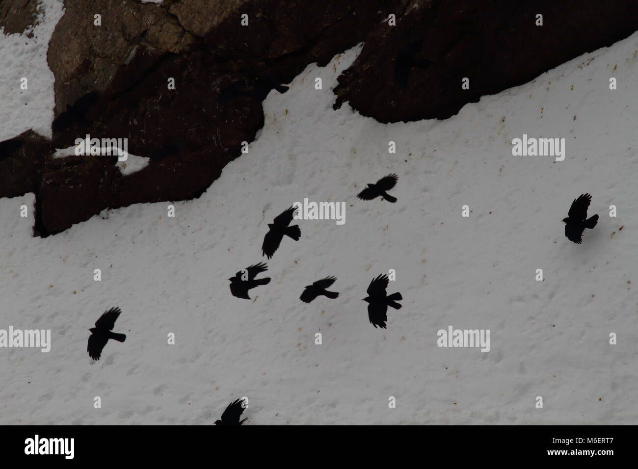 On mount toukal hi-res stock photography and images - Alamy