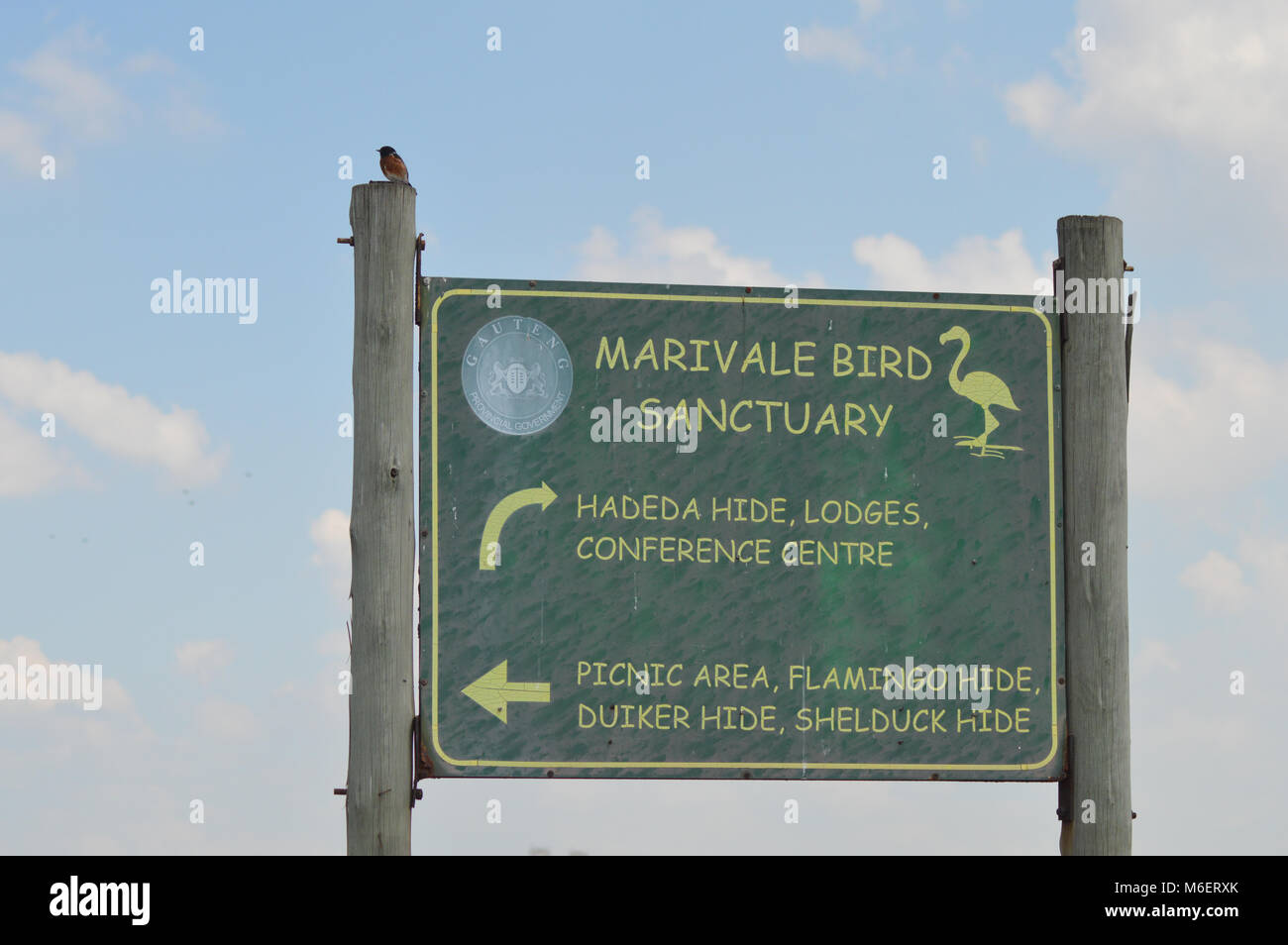 Marievale Bird Sanctuary in Nigel - South Africa , A famous and free ...
