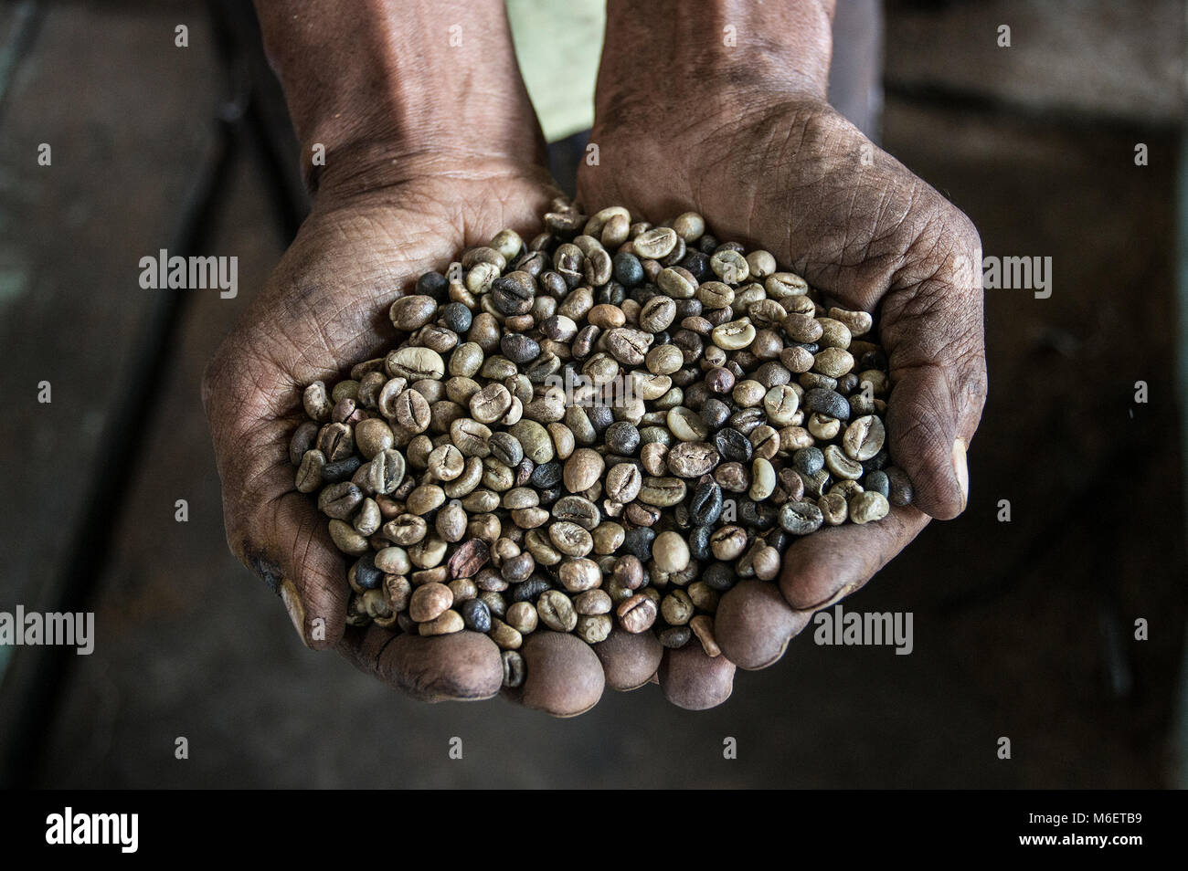 Liberica Coffee Beans