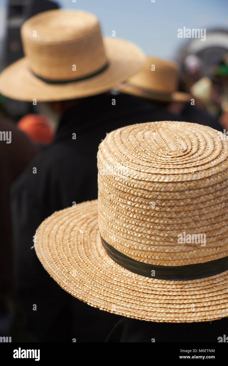 the crowd at a typical Amish festival called a "mud sale." Lancaster ...
