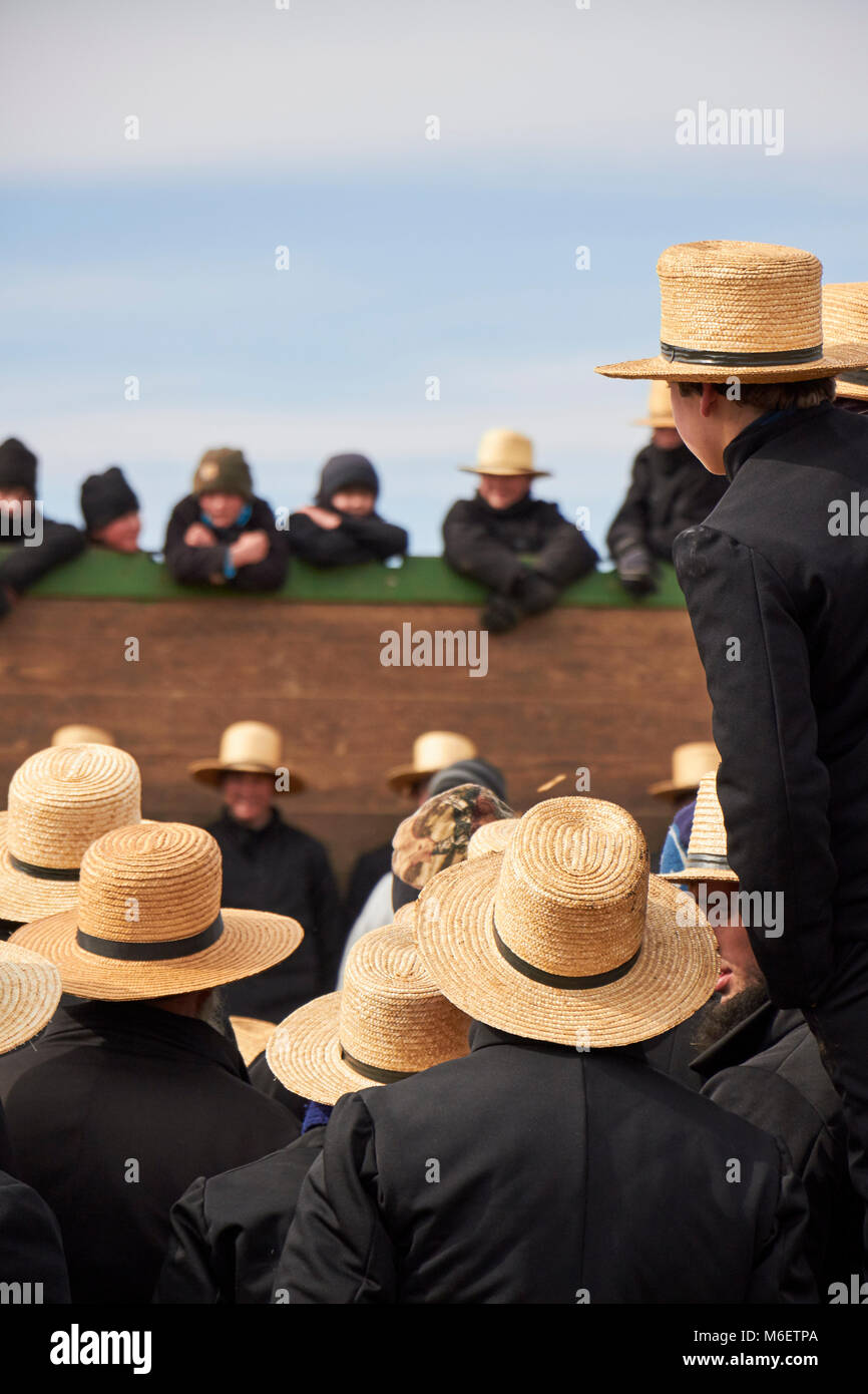 the crowd at a typical Amish festival called a "mud sale." Lancaster ...