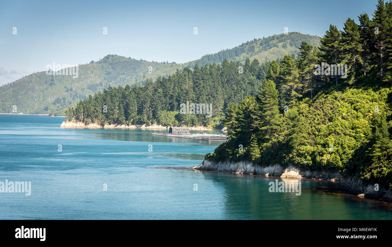 Interislander Ferry Crossing, Cook Straight, New Zealand Stock Photo ...