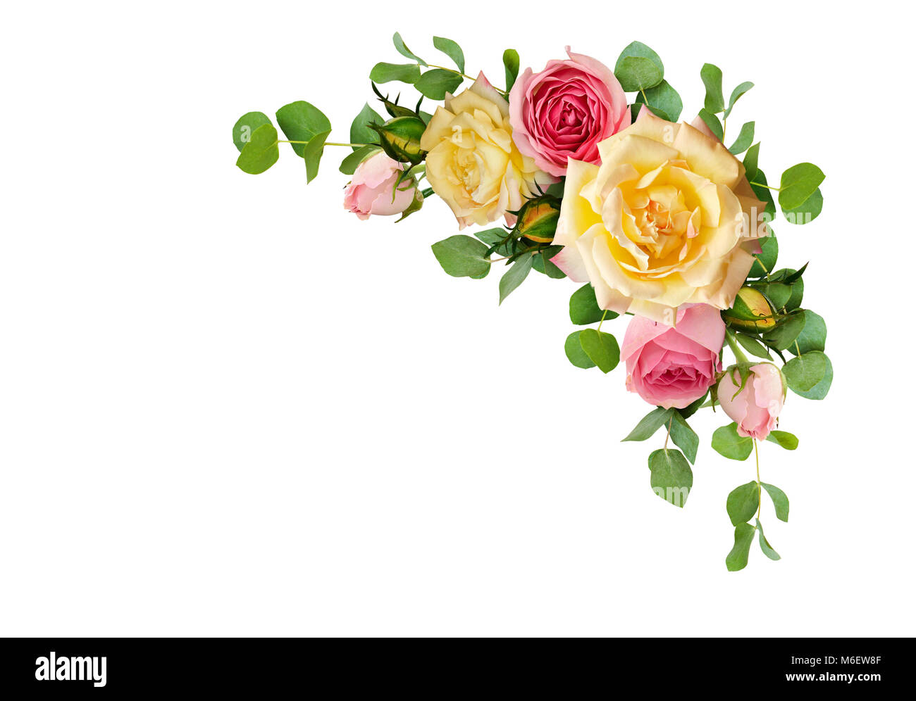 Yellow Rose Flower Png