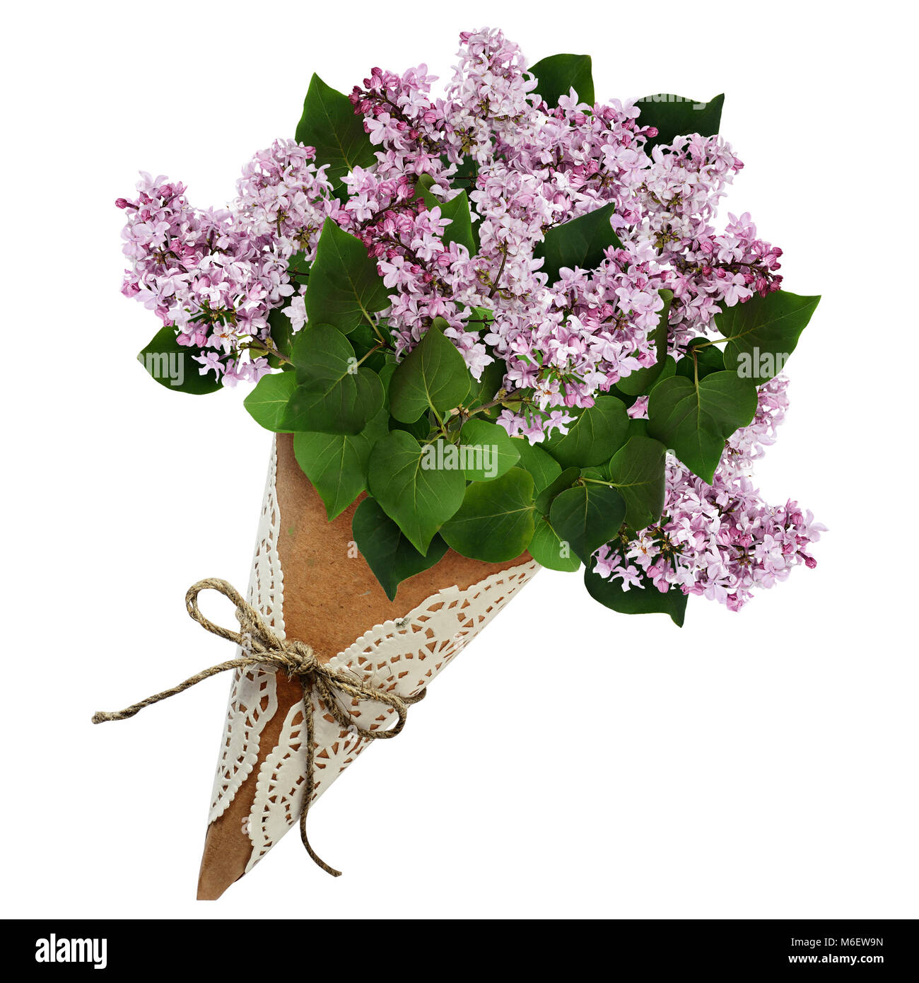 Lilac flowers bouquet in a craft paper cornet isolated on white Stock ...