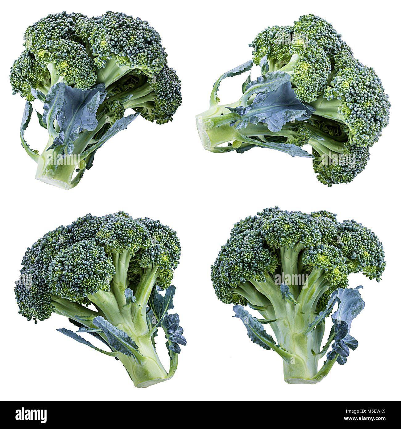 Broccoli isolated on white background Stock Photo - Alamy