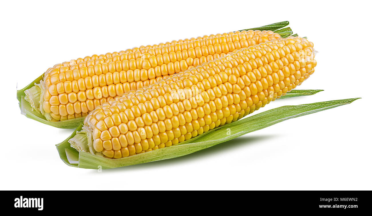 Corn isolated on white background Stock Photo - Alamy