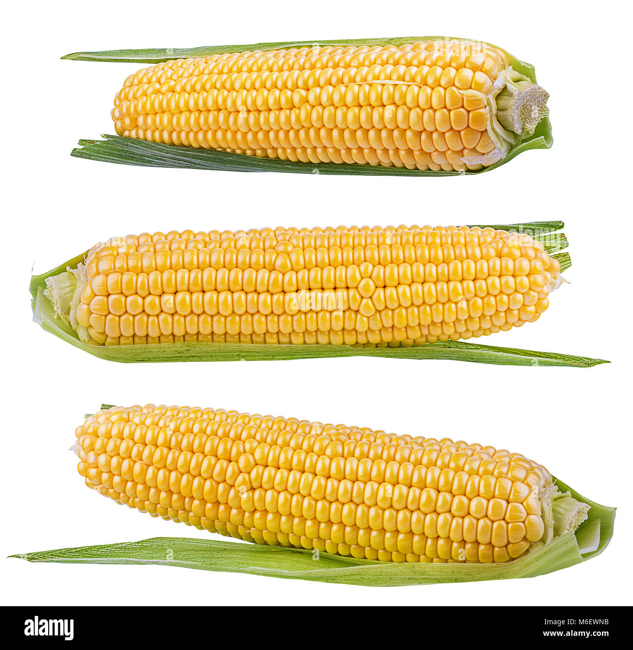 Corn isolated on white background Stock Photo - Alamy