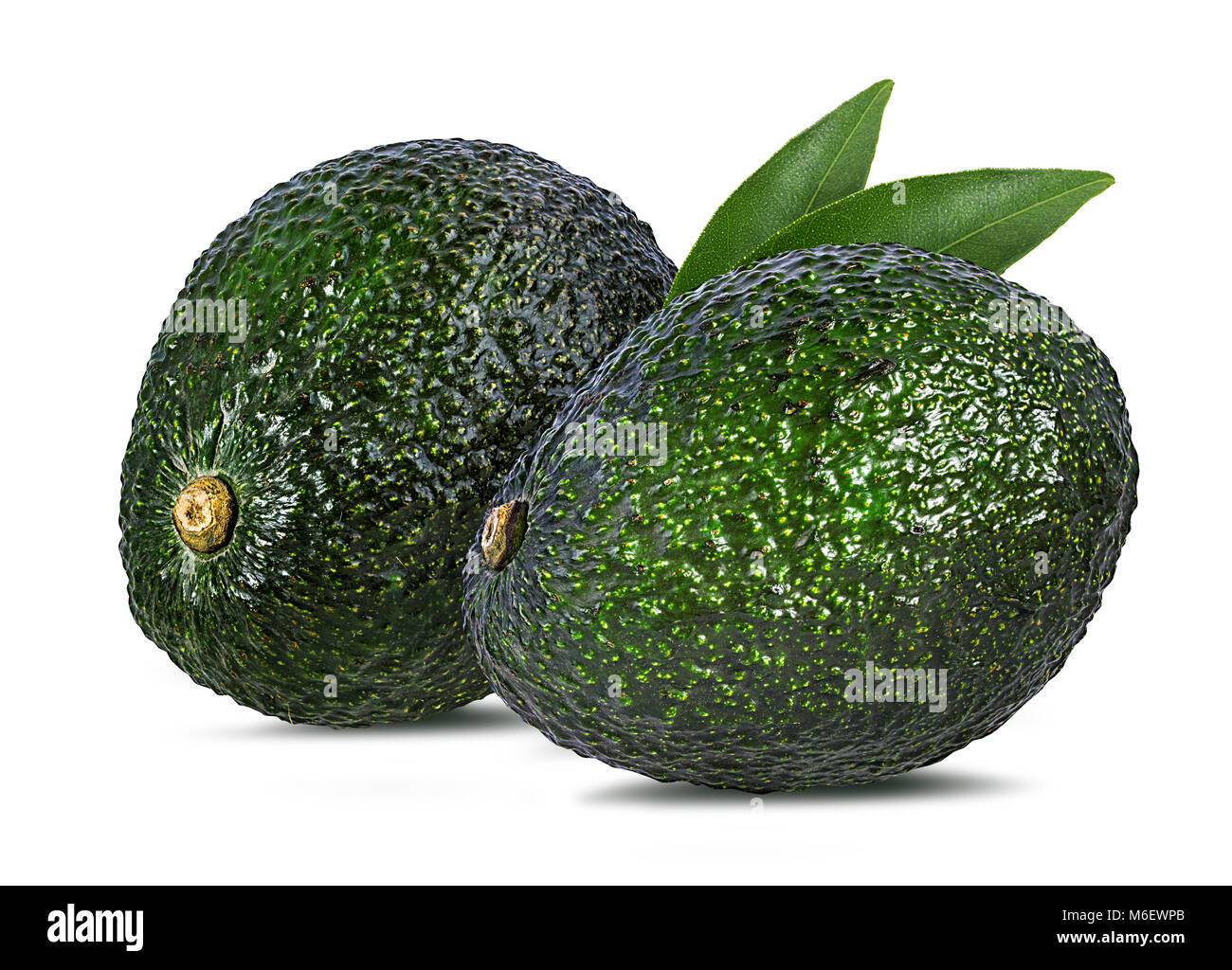 Fresh avocado fruits isolated on white background, with clipping path ...