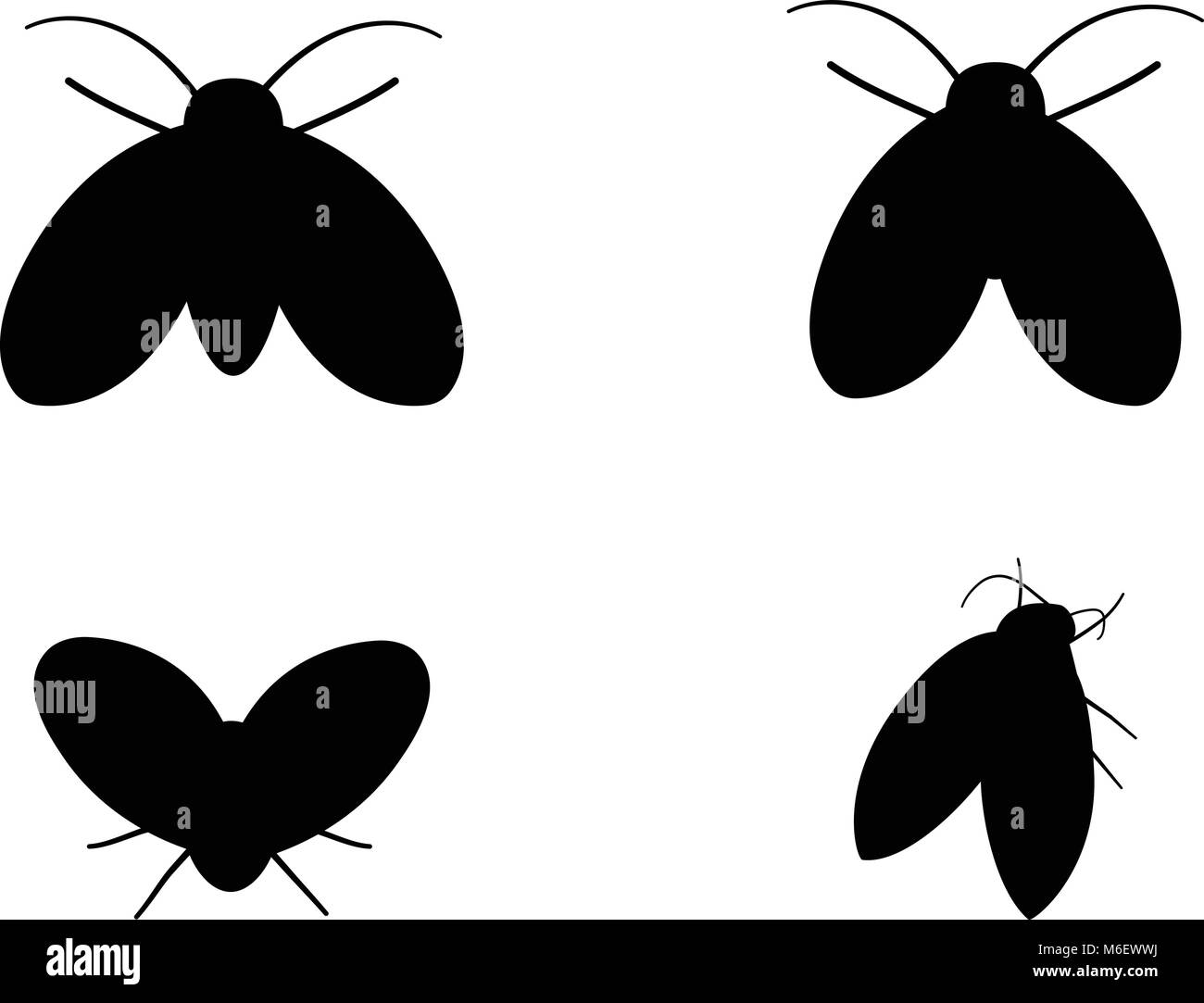Diptera fly Stock Vector Images - Alamy