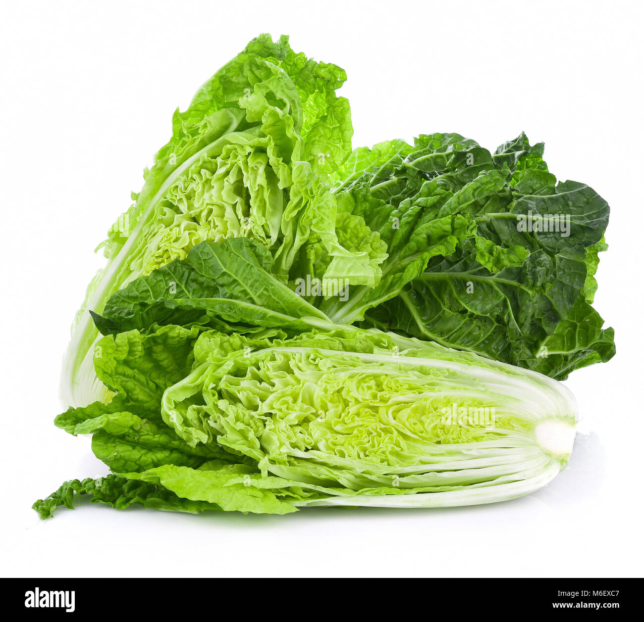 fresh chinese cabbage on a white background Stock Photo - Alamy