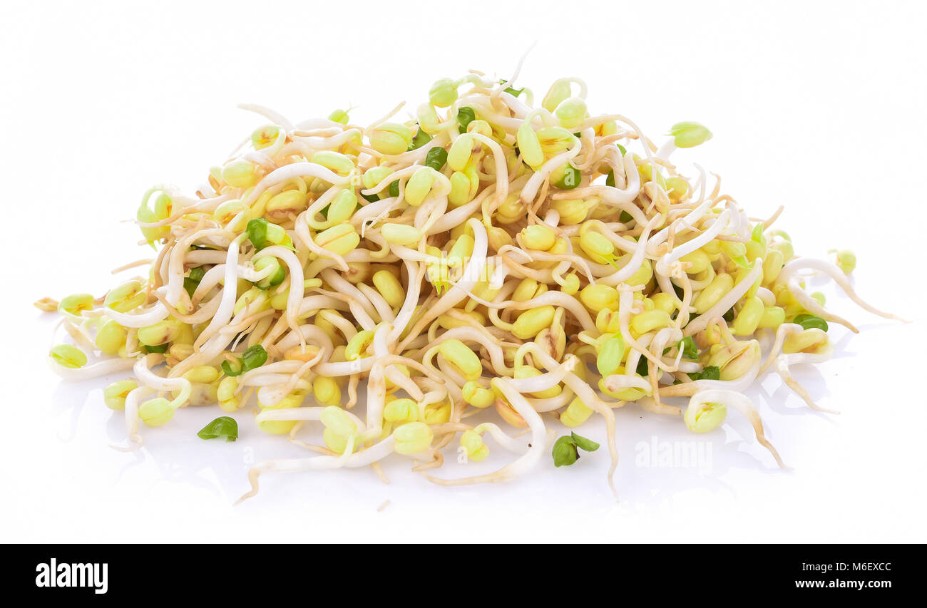 bean sprouts, soybean sprouts on white background Stock Photo - Alamy