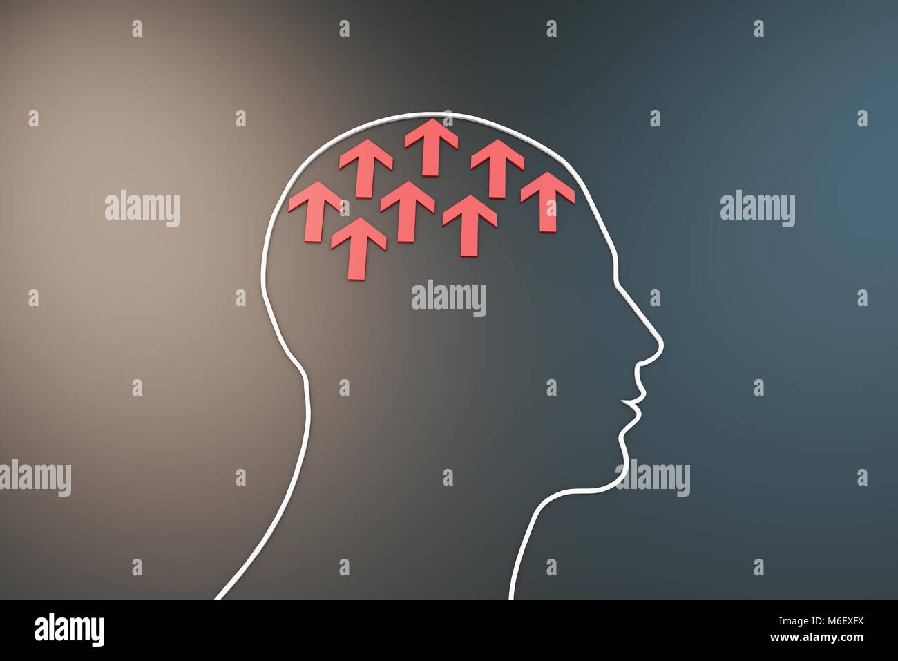 Human brain with arrow, way of thinking Stock Photo - Alamy