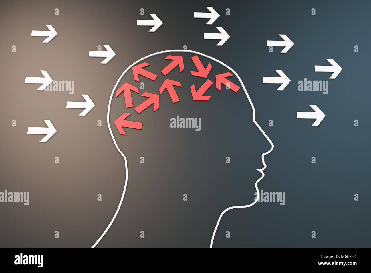 Human brain with arrow, way of thinking Stock Photo - Alamy