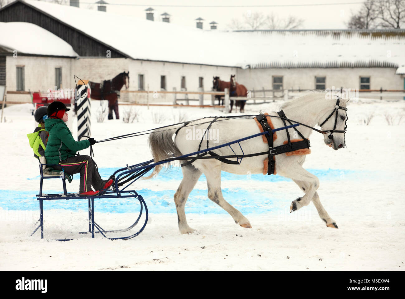 Human drawn carriage hi-res stock photography and images - Alamy