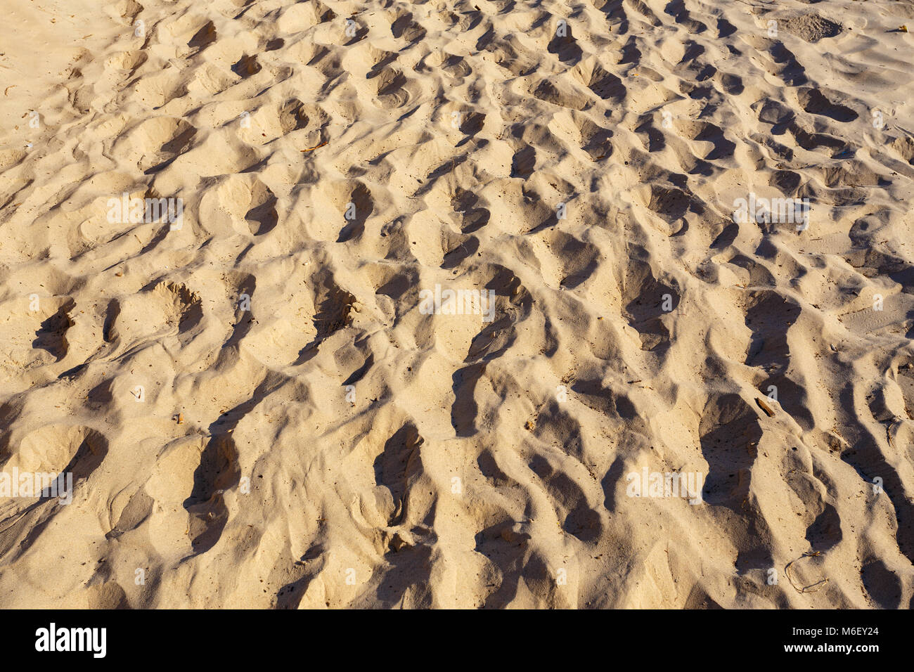 Sandy beach background with sand texture. Top view Stock Photo - Alamy