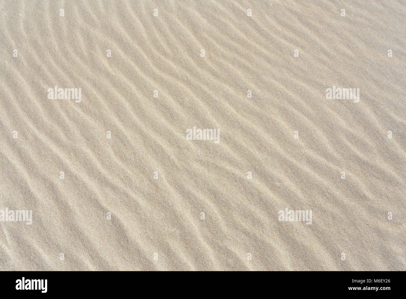 Sandy beach background with lines. Detailed sand texture. Top view ...