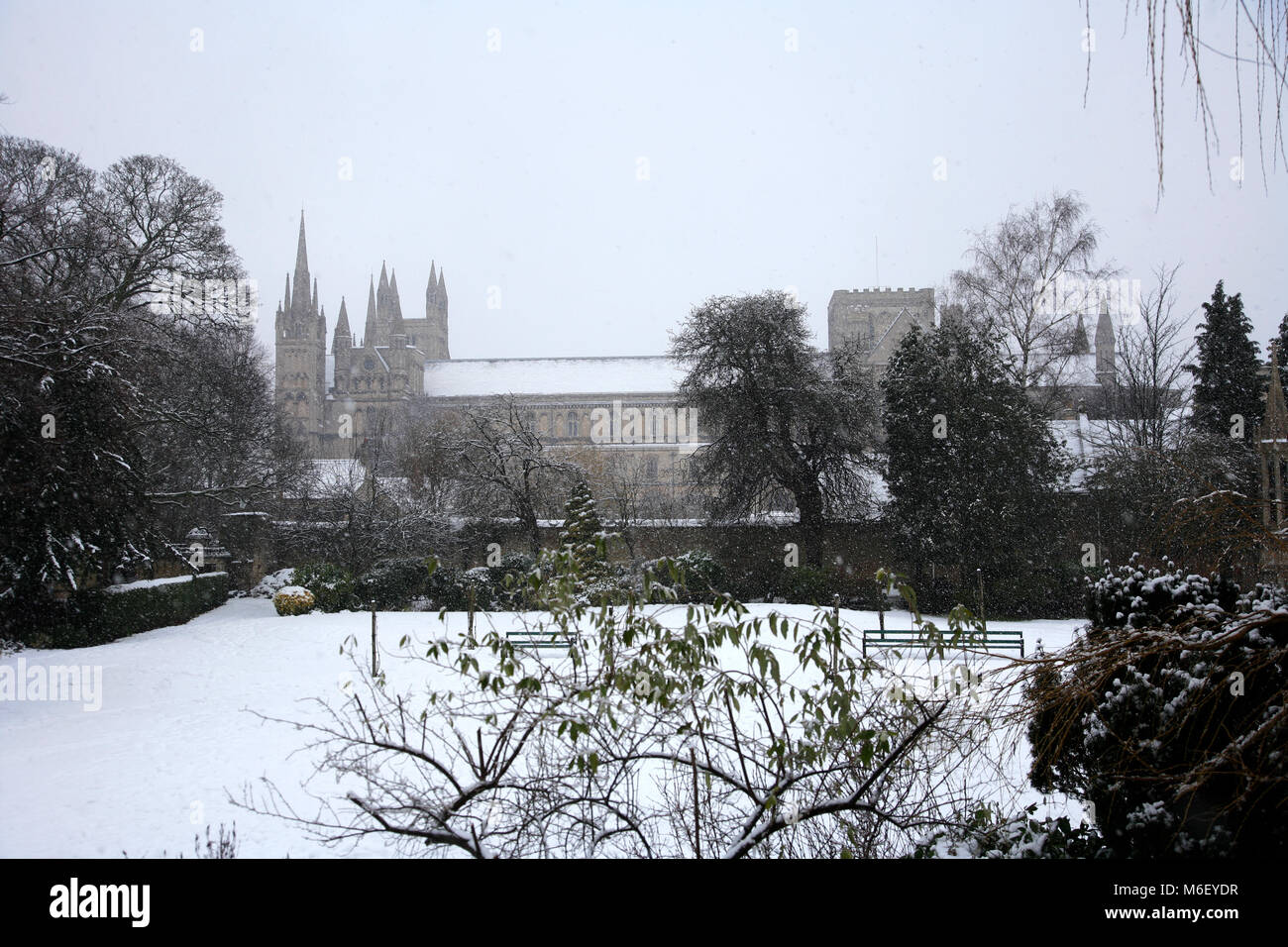Cathedrals in snow winter snow over peterborough cathedral hi-res stock ...