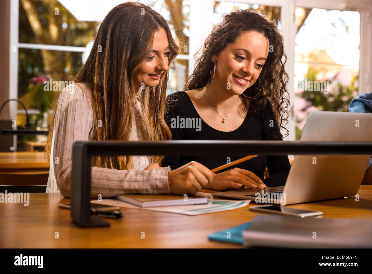 Groups of friends studying together on the bibliotech Stock Photo - Alamy