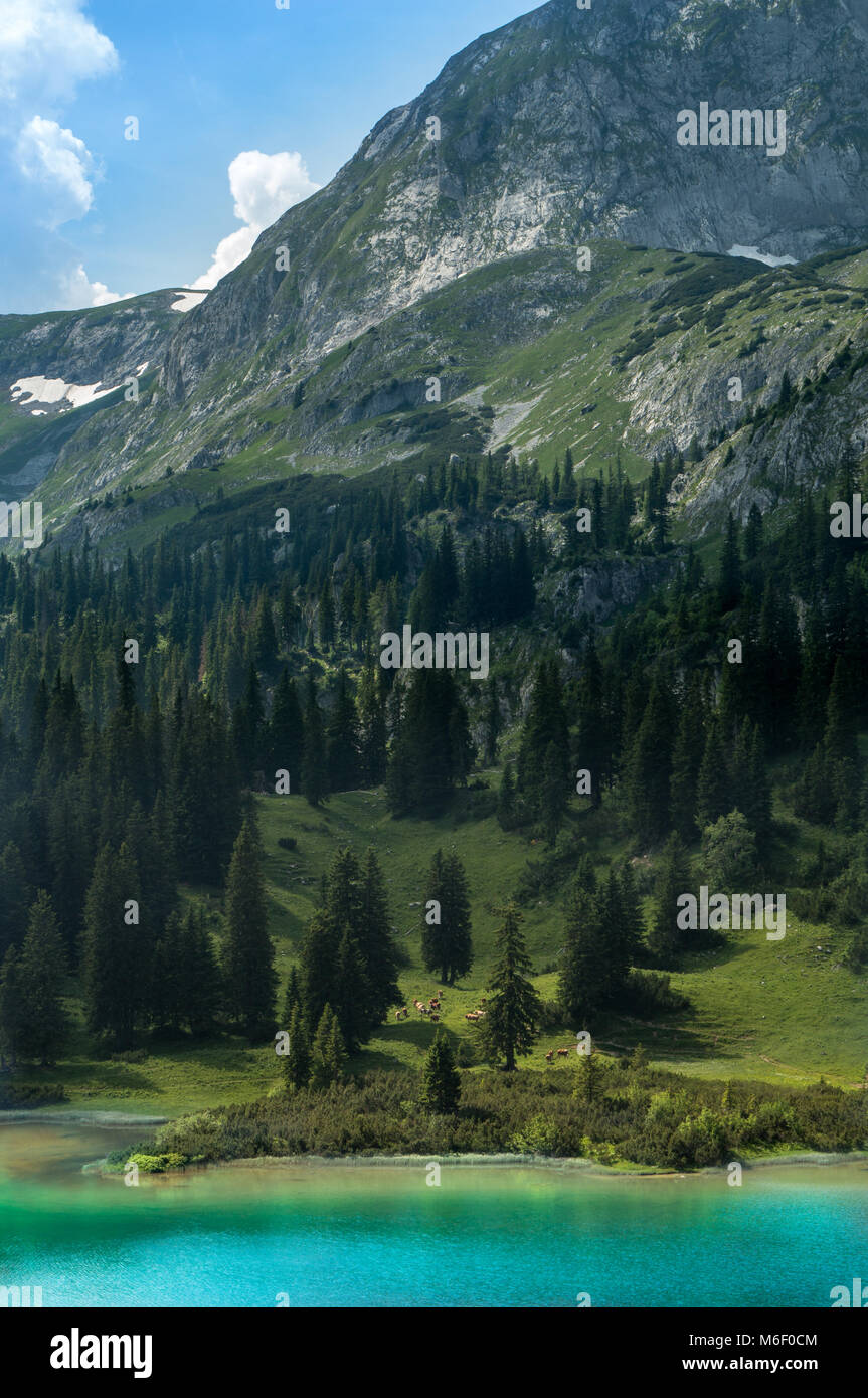 Beautiful green alpine lake at the foot of the Austrian Alps (vertical ...