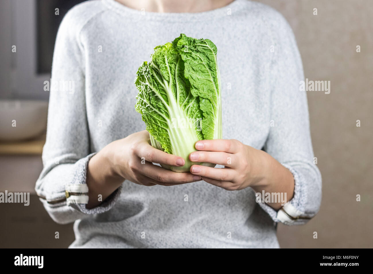 Chinese cabbage in female hands Stock Photo - Alamy