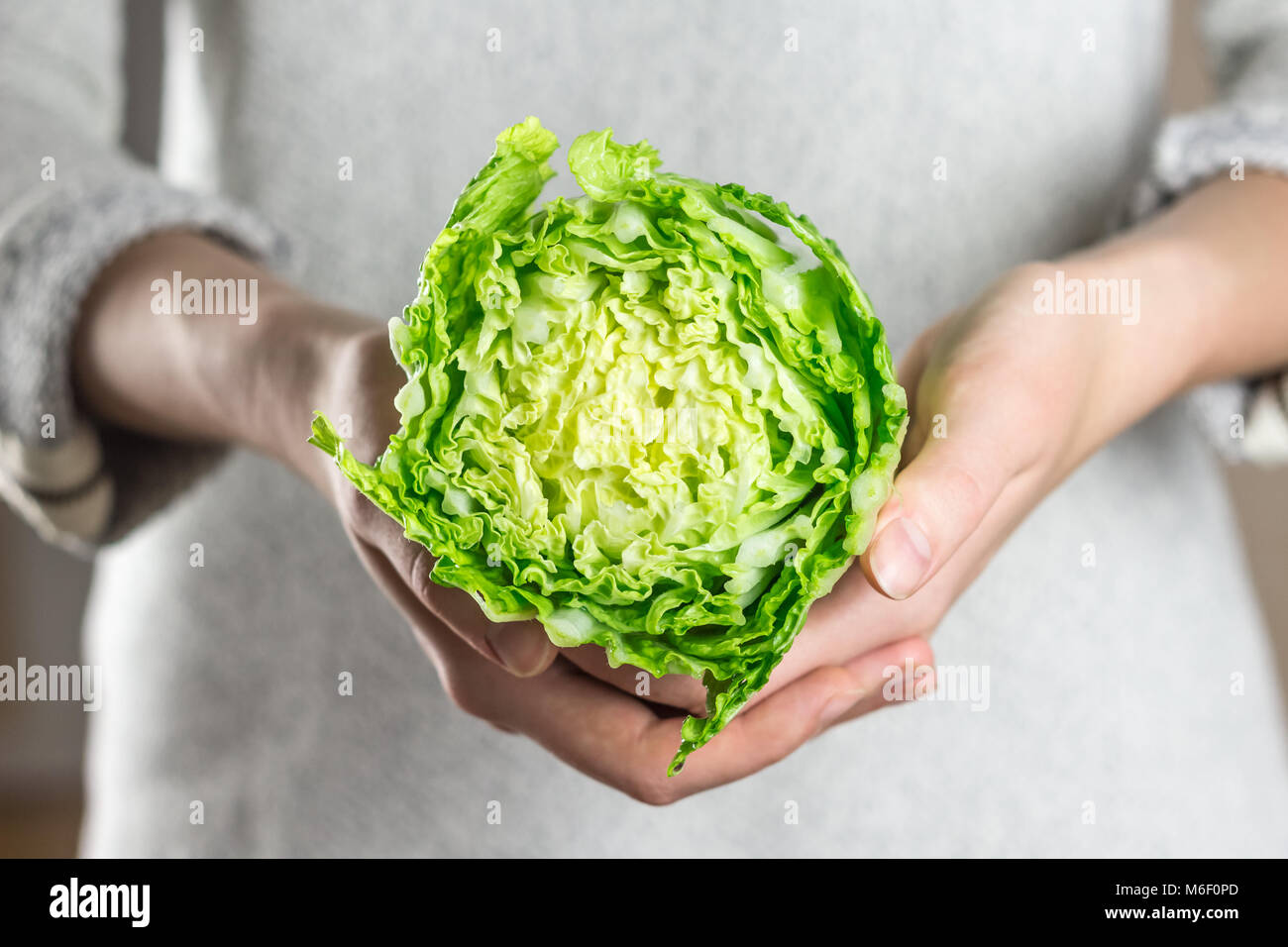 Holding fresh chinese cabbage in hands Stock Photo - Alamy