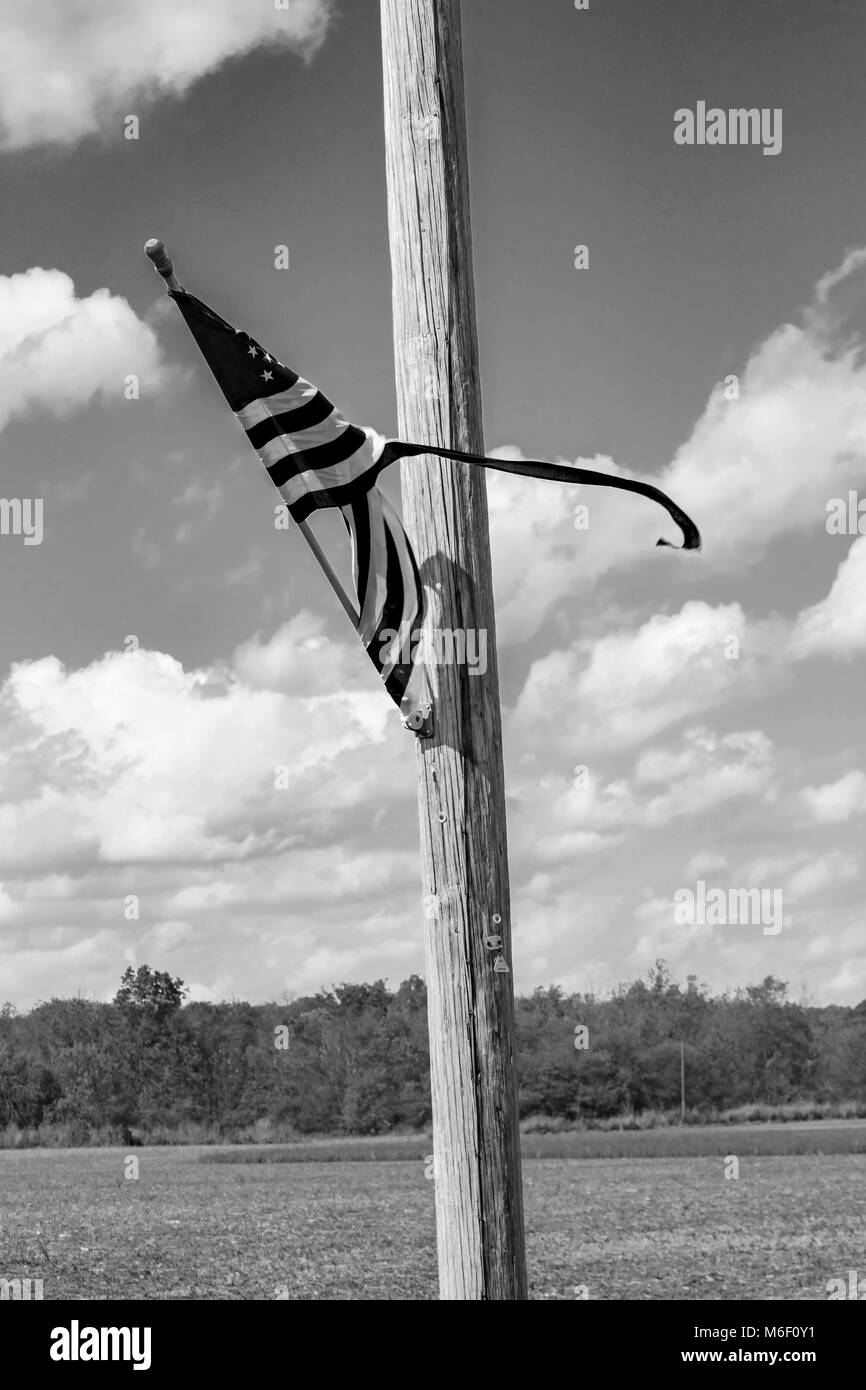 A tattered US flag attached to a telephone pole in a rural area Stock ...