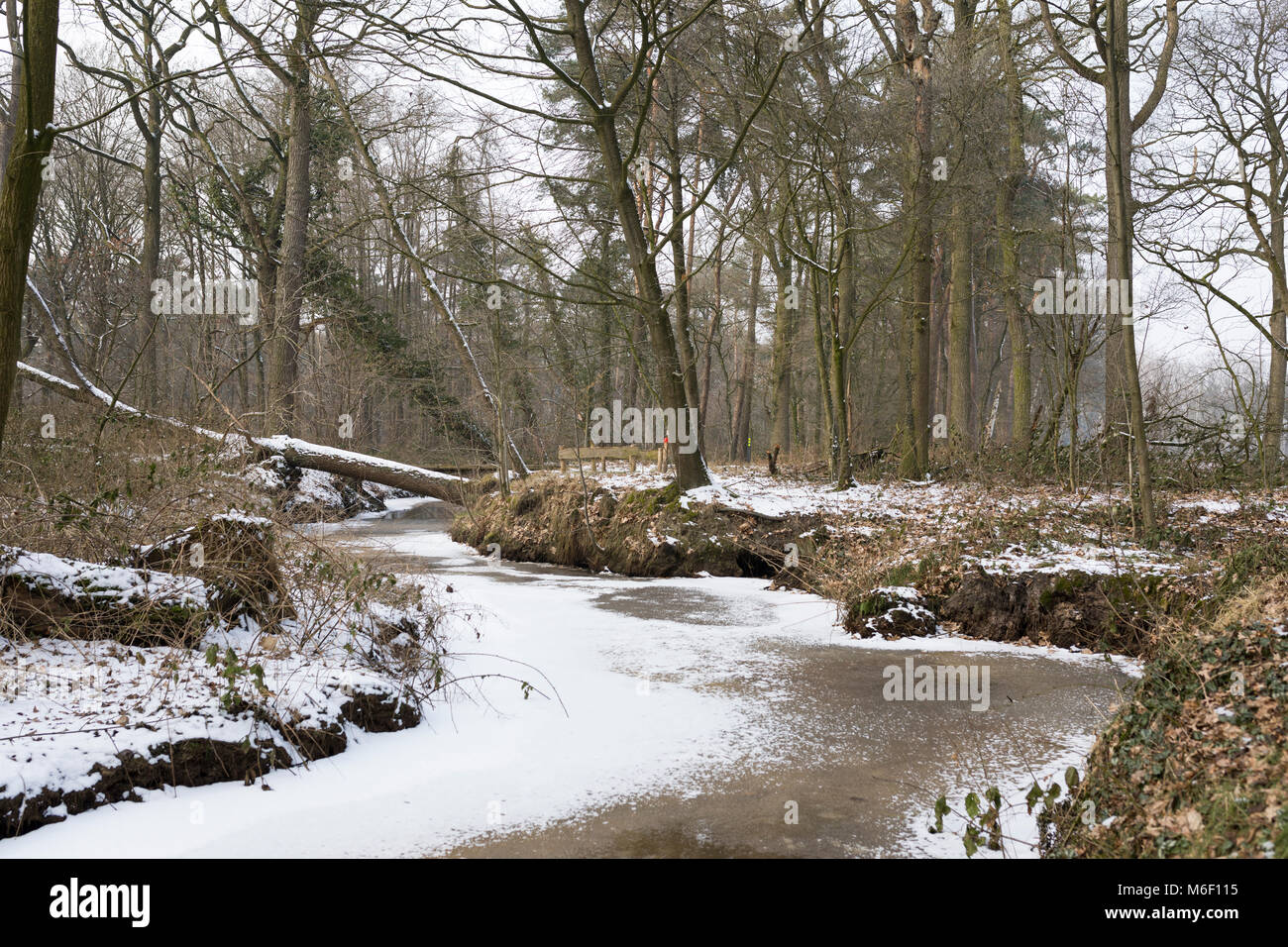 Meandering river in winter landscape with snow and ice in a forest ...