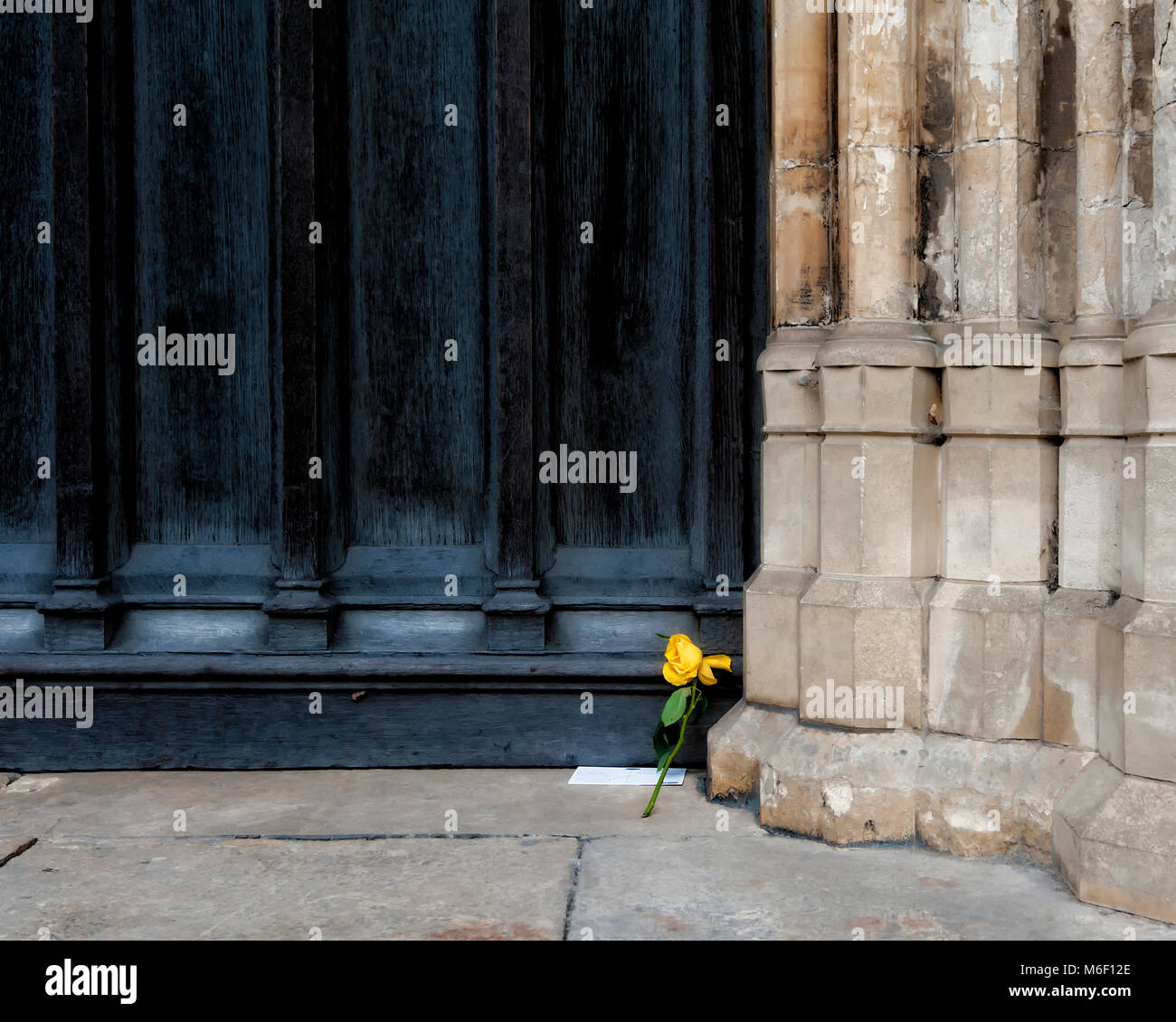 Memorium flower on steps of York Minster Stock Photo - Alamy
