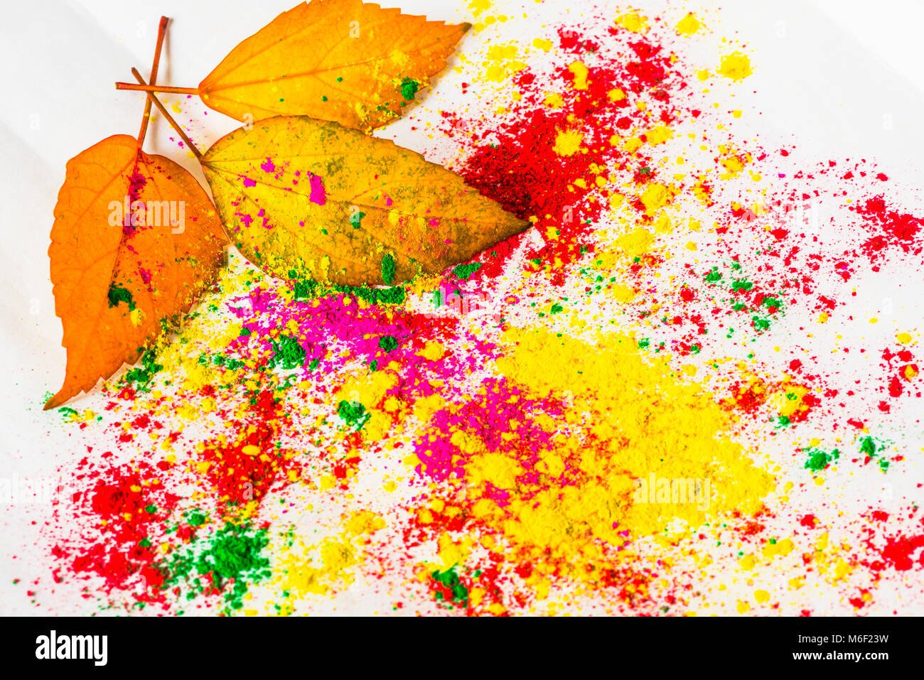 Holi powder used to celebrate festivals of colour in Hinduism and ...