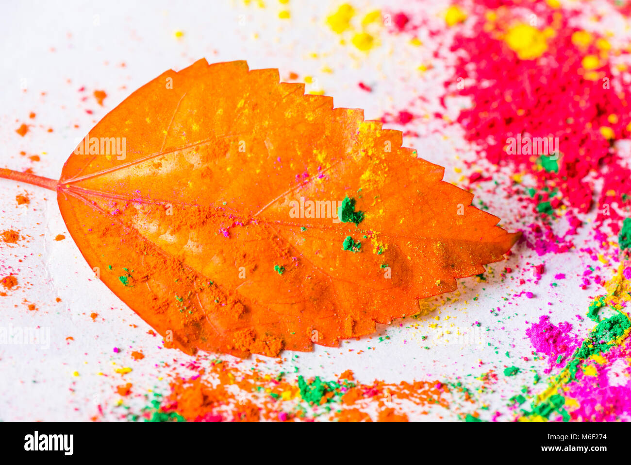 Holi powder used to celebrate festivals of colour in Hinduism and ...