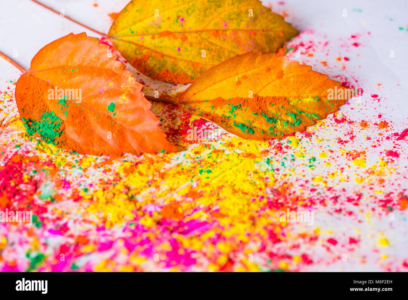 Holi powder used to celebrate festivals of colour in Hinduism and ...