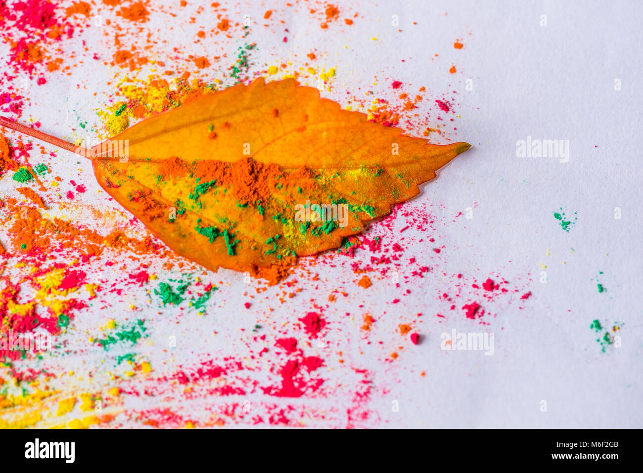 Holi powder used to celebrate festivals of colour in Hinduism and ...