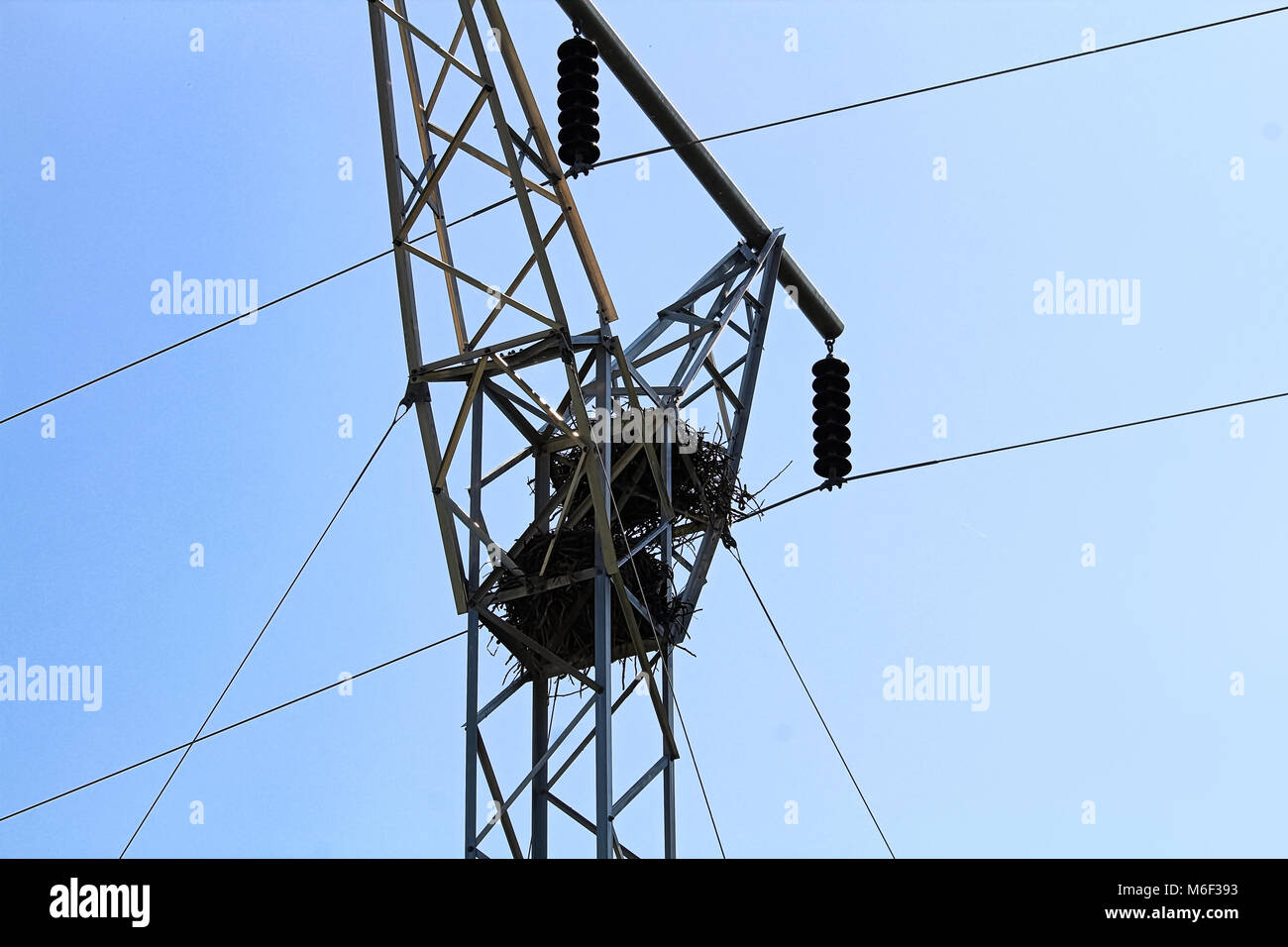 Two raven nests at the top of a power pole tower Stock Photo - Alamy