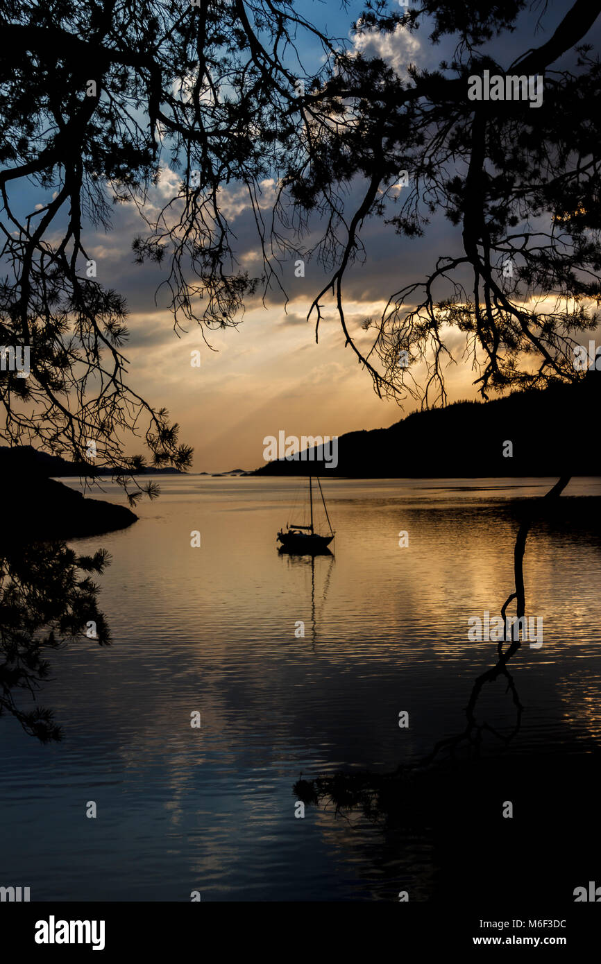 Loch Moidart Scotland High Resolution Stock Photography and Images - Alamy